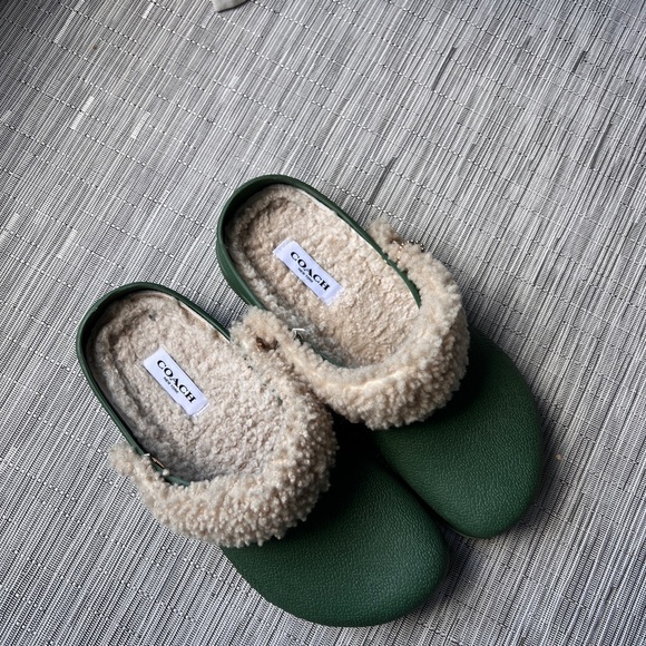 Coach | Shoes | Coach Green Shearling Lined Clogs | Poshmark